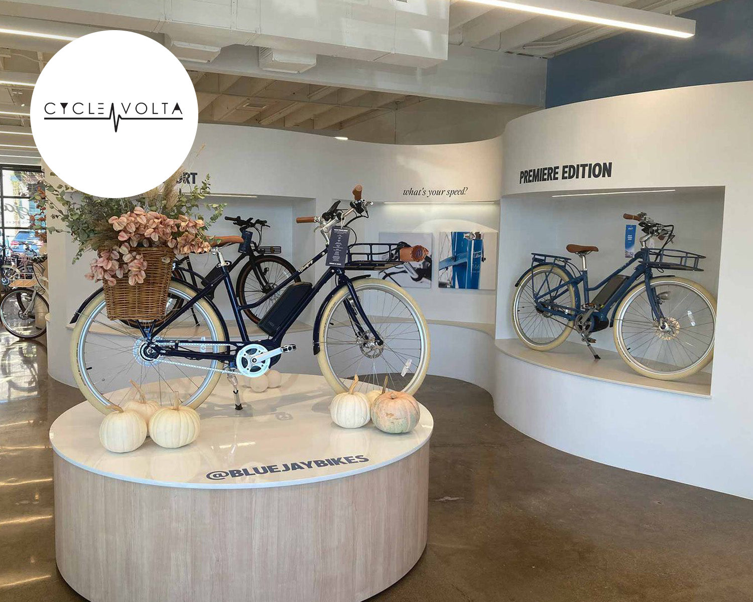 Why Bluejay chose Newport Beach for its flagship store – Bluejay Bicycles