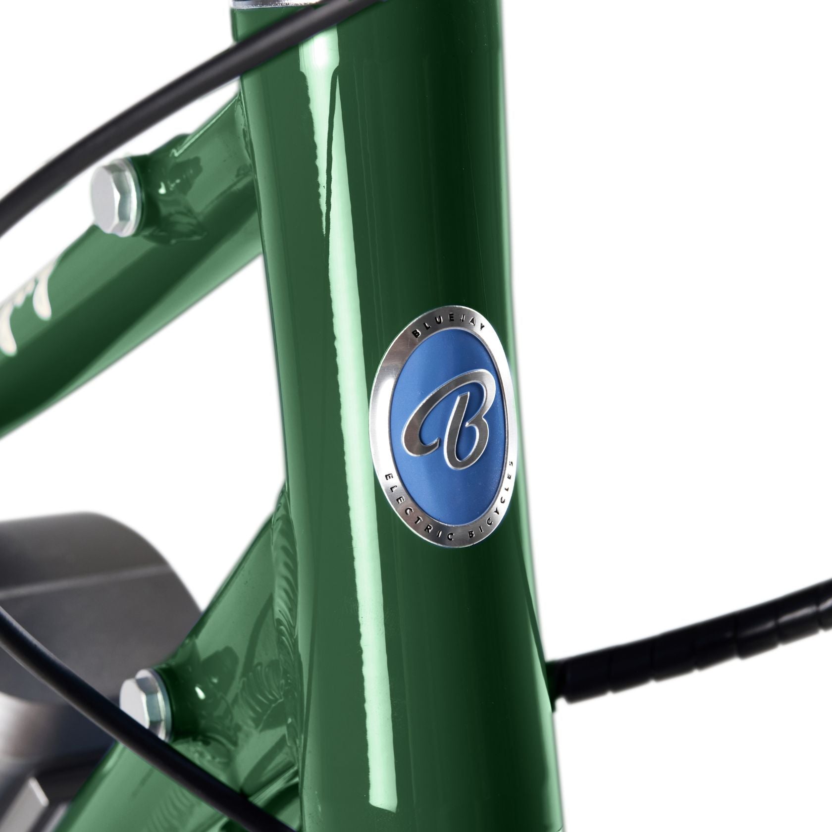 Green Electric Bike | Premiere | 5 Levels of Pedal-Assist e-Bike ...