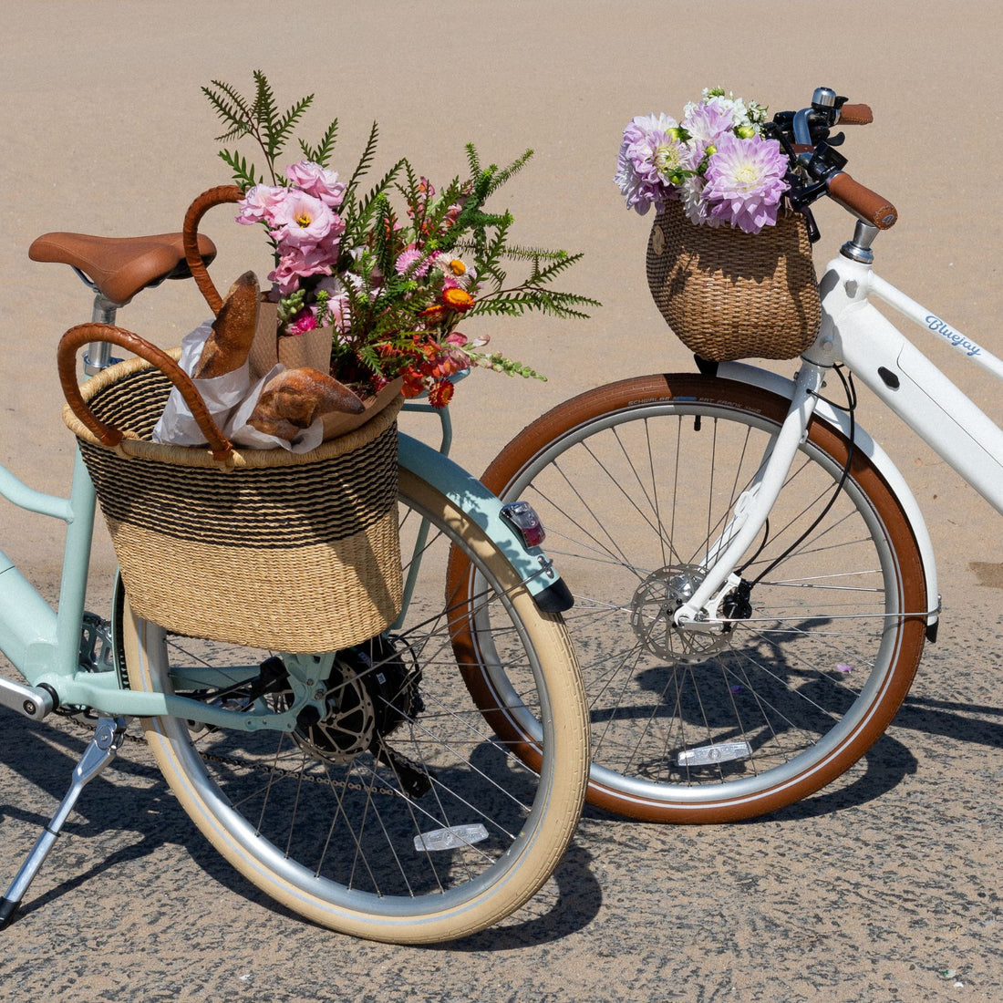 Bluejay Premiere Lite - Mint Green Electric Bike – Bluejay Bicycles