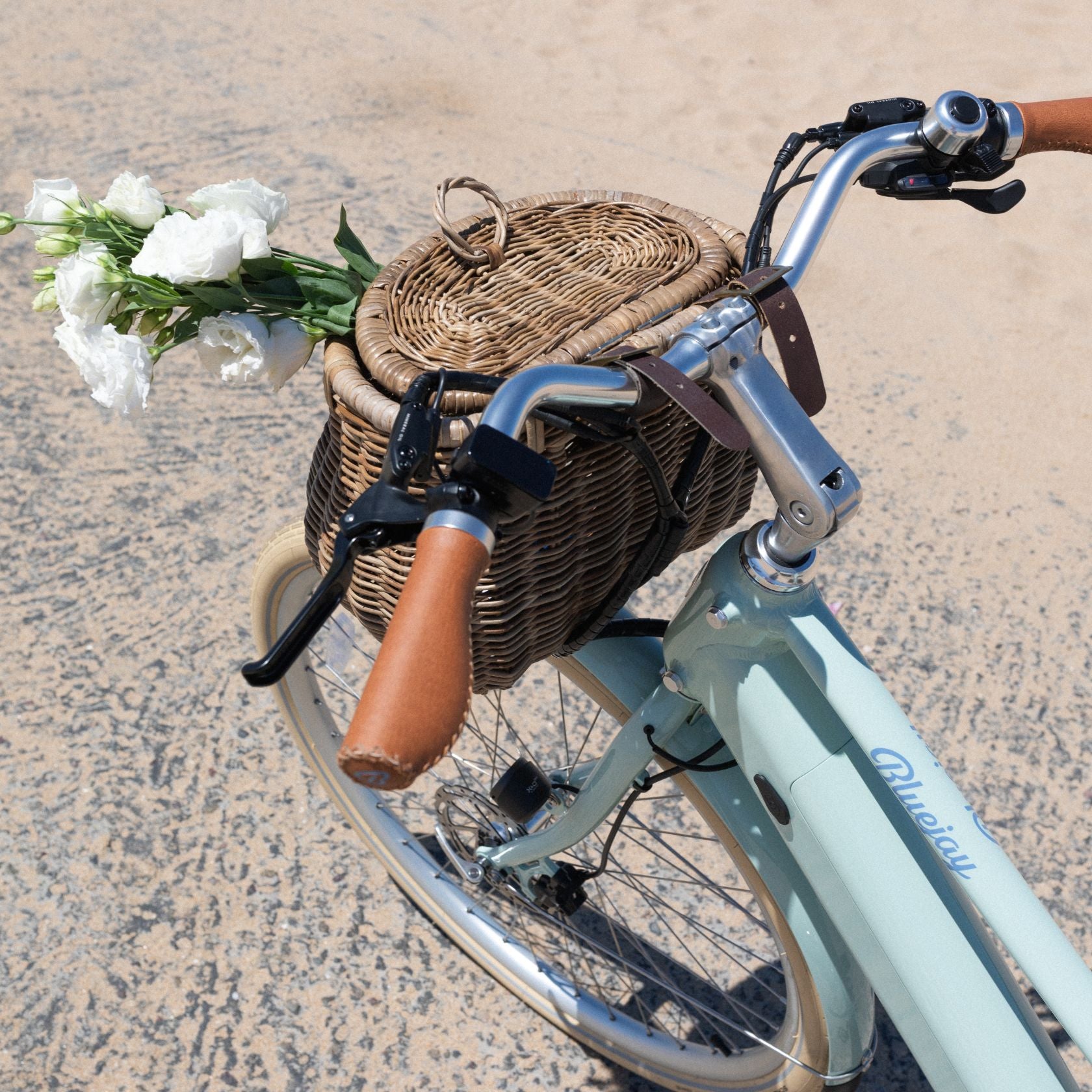 Bluejay Premiere Lite - Mint Green Electric Bike – Bluejay Bicycles